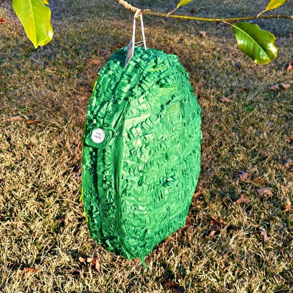 Spritz | Party Supplies | New Spritz Party Supplies Target Avocado ...